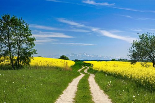 ITEBO: 5 Monate nach Ablauf des OZGs: Bund beschließt OZG 2.0